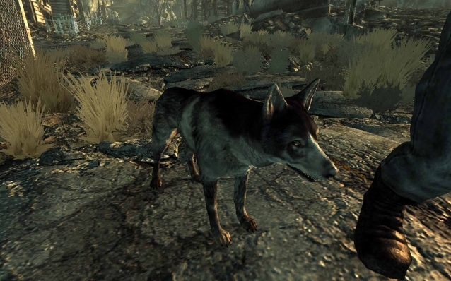 Awesome Animals in Games | GameGrin