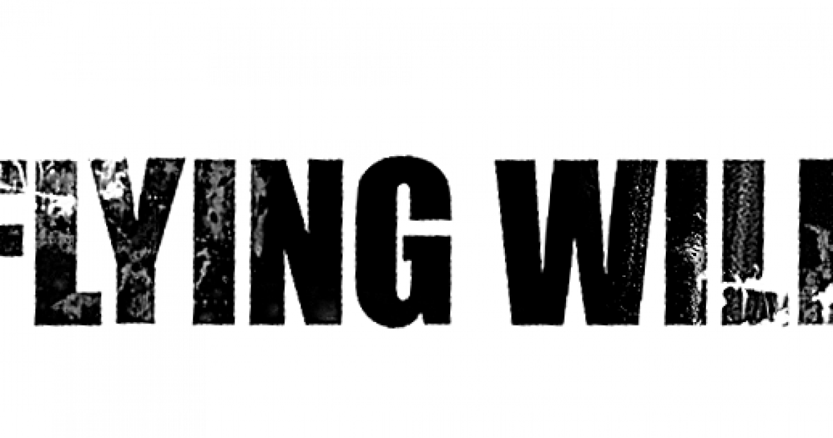 Flying Wild Hog - Company | GameGrin