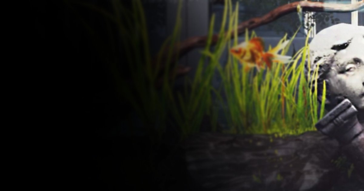Aquarist Review | GameGrin
