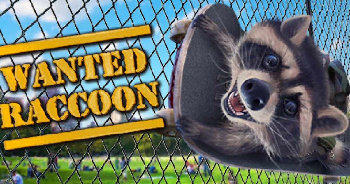 Wanted Raccoon - Game | GameGrin