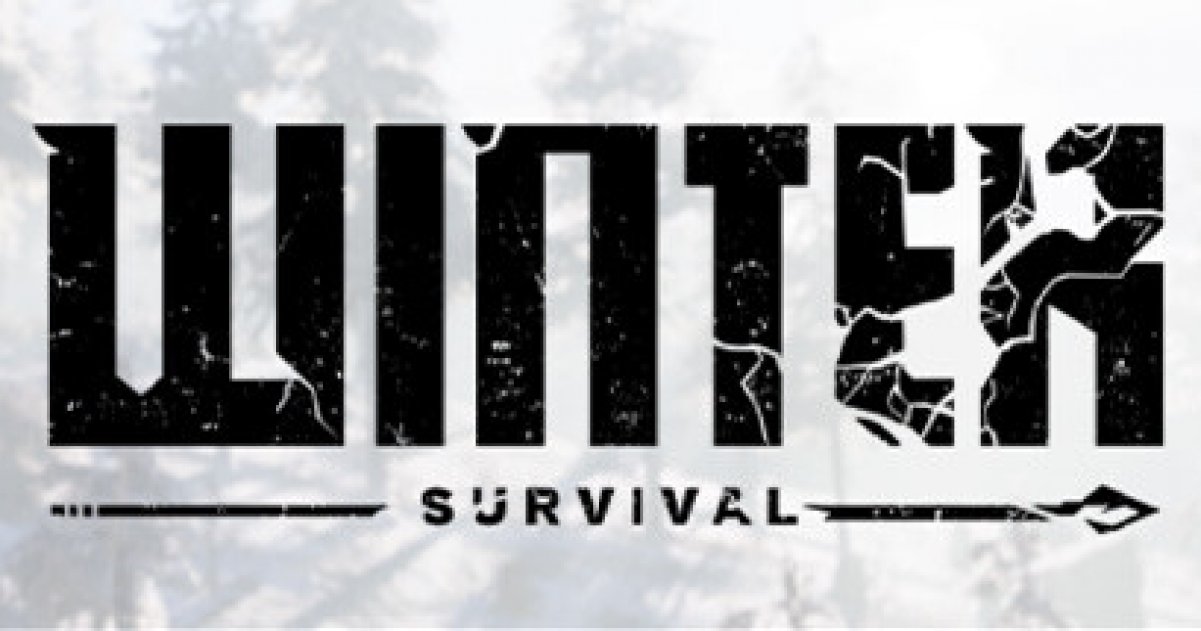 Winter Survival - Game | GameGrin