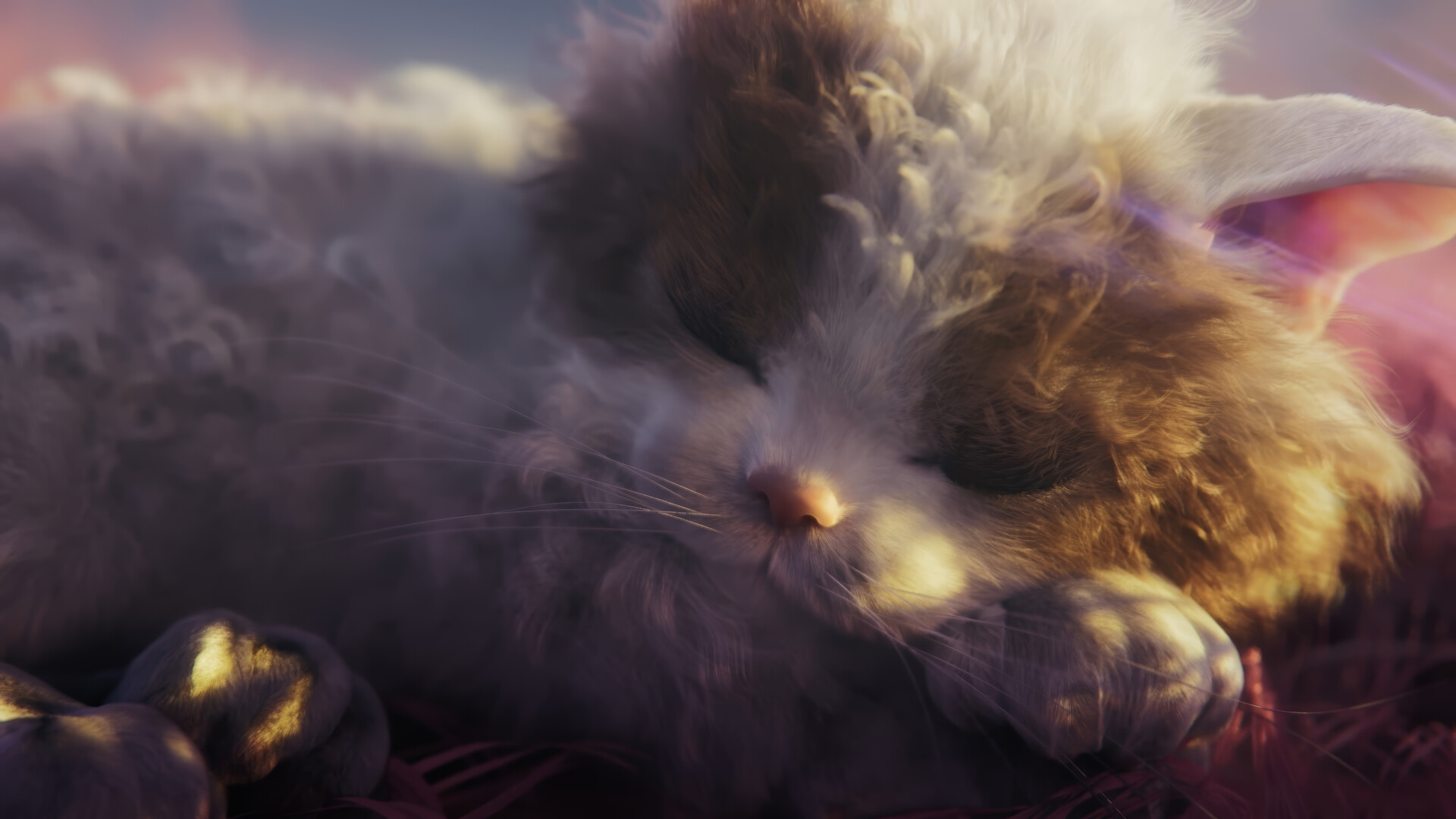 Catly - Images & Screenshots | GameGrin